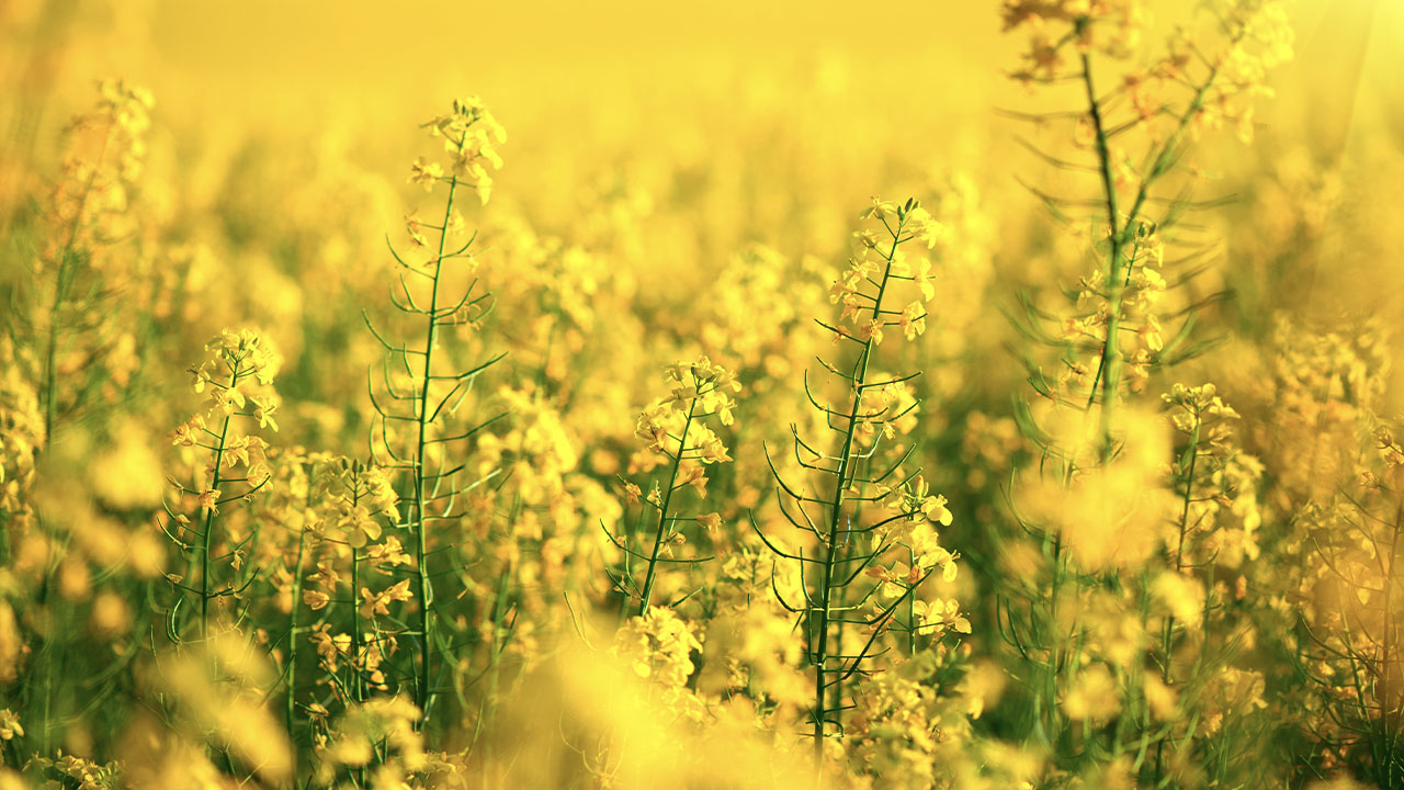 Bærekraft | Nordisk Grunnteknikk